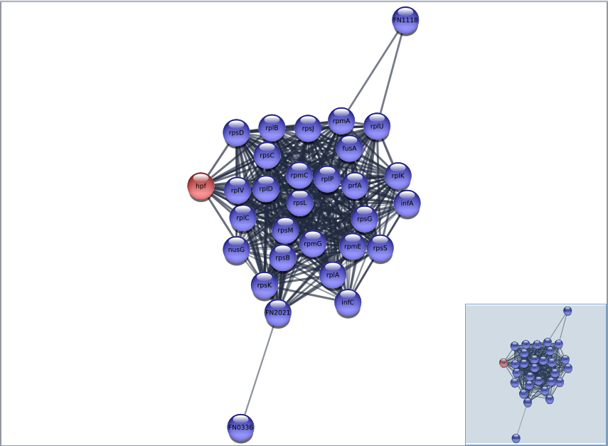 非模生物STRING结合cytoscape进行PPI画图_cytoscape添加图例-CSDN博客
