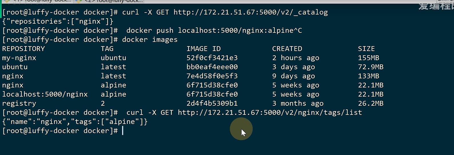 docker 镜像仓库服务 创建 拉取 push tag_docker push tag-CSDN博客
