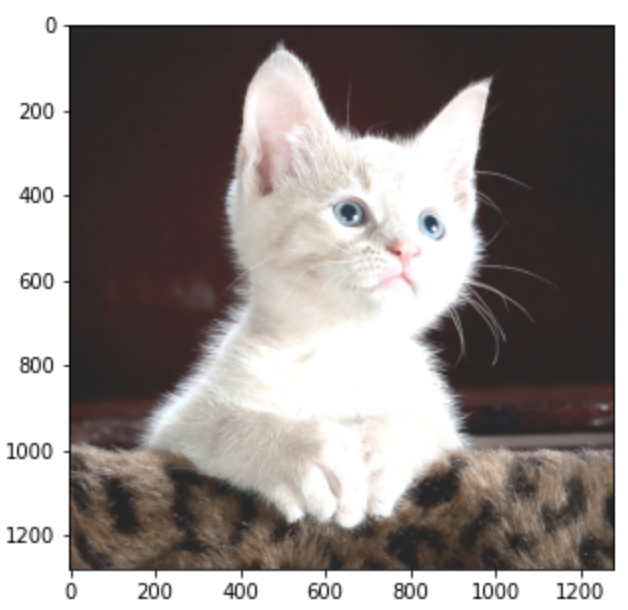 albumentations.HorizontalFlip、Rotate、RandomBrightnessContrast ...