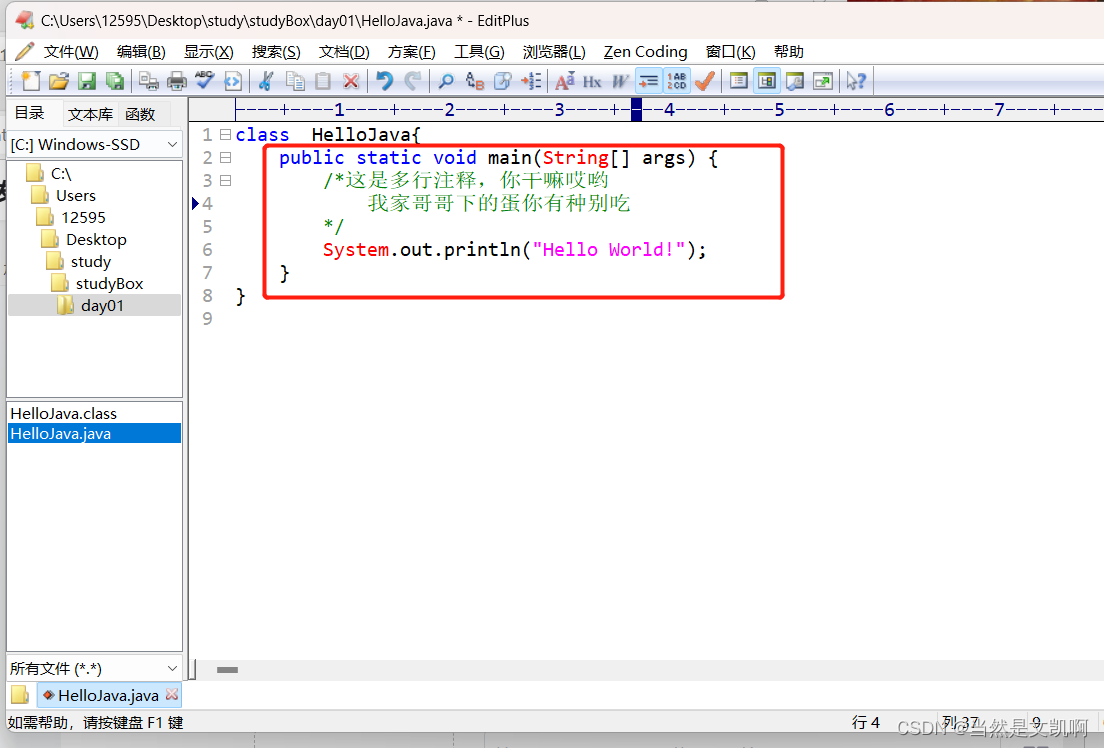 java星辰布道图 （二）：editPlus使用，代码注释_editplus怎么快速注释代码-CSDN博客