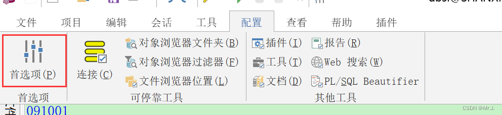 PLsql 中好用的插件 CnPlugin(免安装) 使用教程-CSDN博客