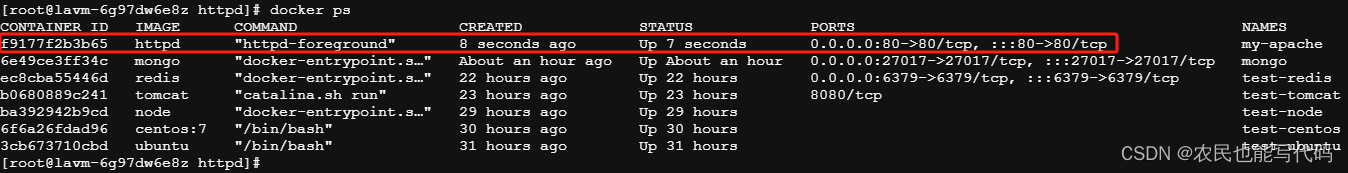 Docker 部署 Apache_docker apache-CSDN博客