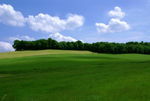 SQLite语法 ON CONFLICT-EW帮帮网