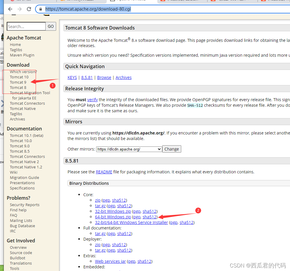 tomcat安装_tomact 安装csdn-CSDN博客