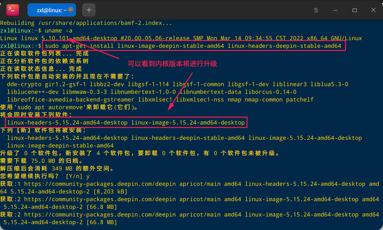 linux deepin 20.4升级至20.5教程：升级系统和升级内核两个步骤(手动升级deepin内核命令)_deepin 升级内核-CSDN博客