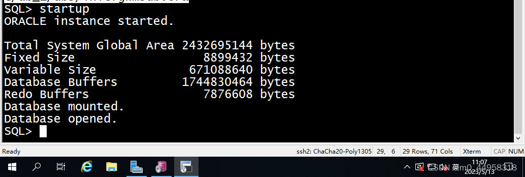刚装好的oracle19c；先是shutdown immediate了；停了has再开has来startup 提示Connected to an idle instance.SQL ...