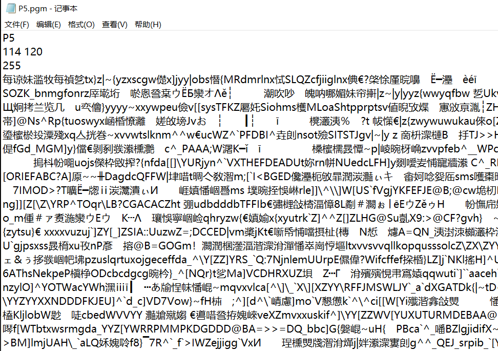 PGM图像读取与存储（C语言）_c语言 pgm-CSDN博客