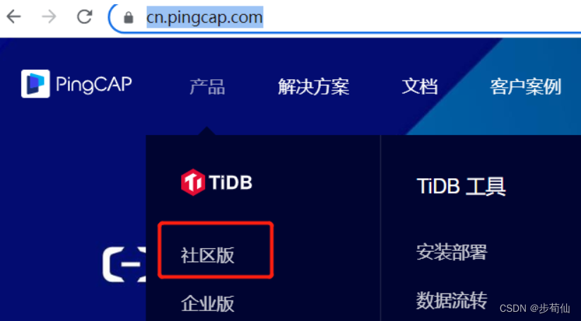 TiDB集群部署方式_步荀仙的博客-CSDN博客