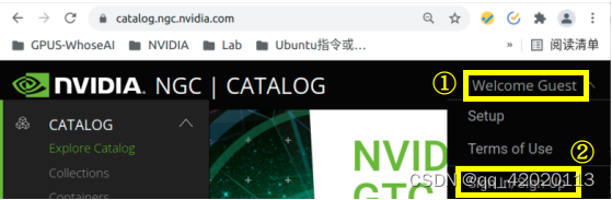 [我参加NVIDIA Sky Hackathon]（环境配置）_如何获取英伟达ngccli的api-CSDN博客