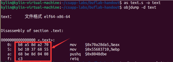 csapp lab --------- buflab_hex2raw-CSDN博客