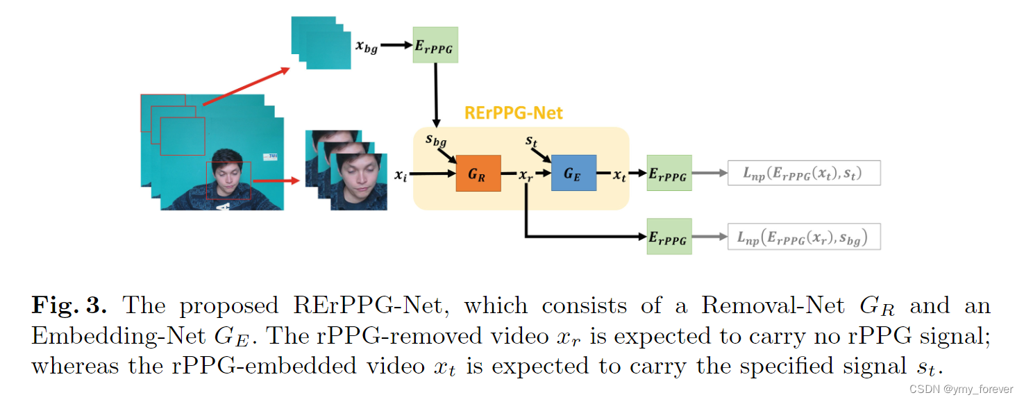 【rPPG论文阅读】Learning to Remove and Embed rPPG Signals via Double Cycle Consistent Learning_rppg经典 ...