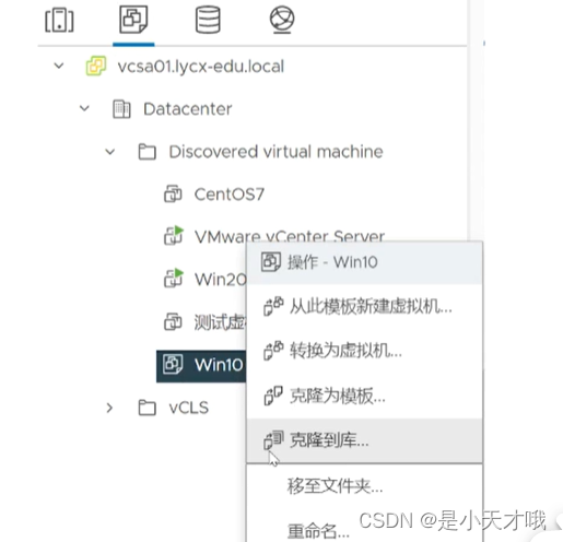 Vcenter server 服务使用-CSDN博客