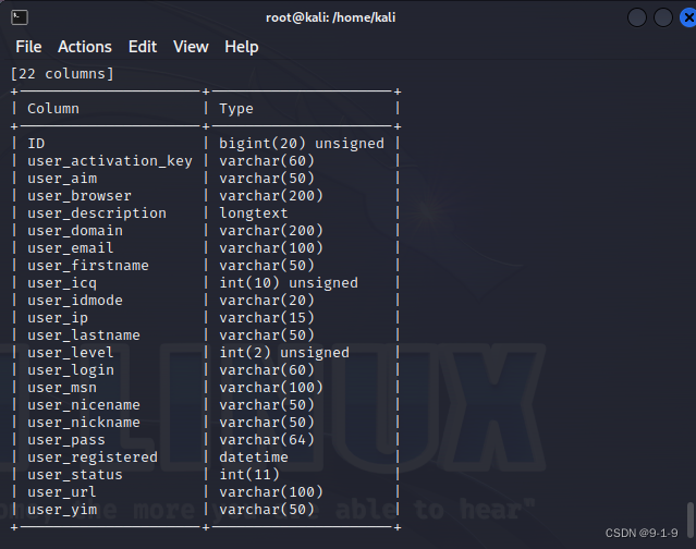 Hackademic.RTB1靶场详细通关教程-CSDN博客