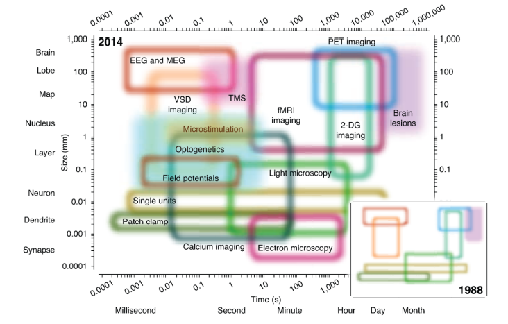 记录fmriprep对应的输出文件命名_andy's book-CSDN博客
