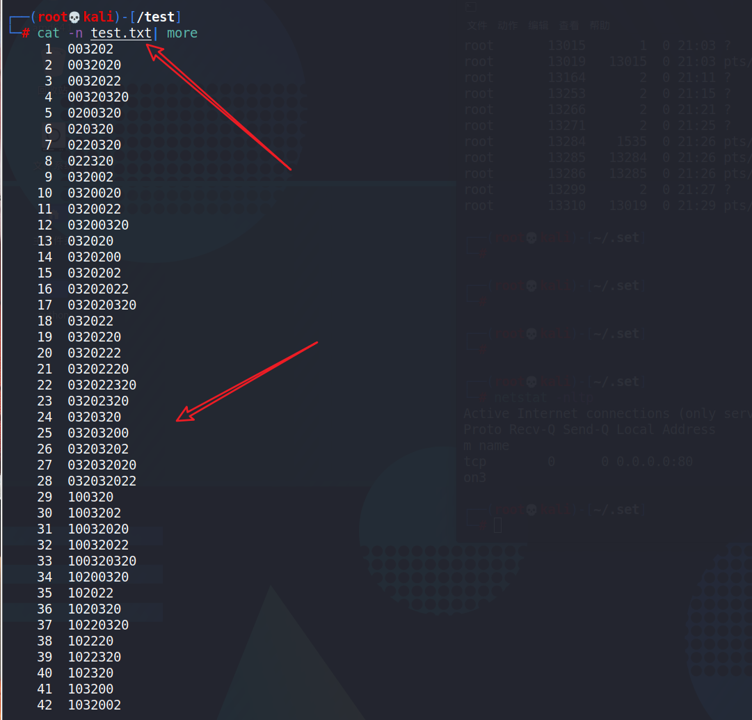 Kali Linux下社工密码字典生成工具Cupp教程_社工字典生成器-CSDN博客