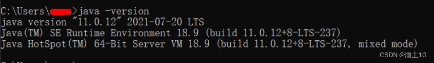JDK环境配置 + IDEA的安装 (Java小白入门必备)_idea配置jdk11-CSDN博客