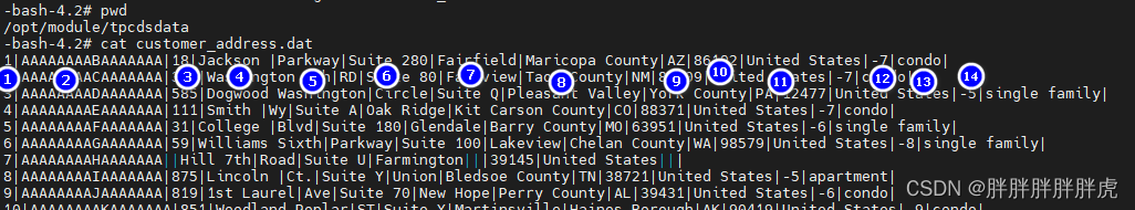 TPC-DS 性能测试_tpcds-CSDN博客