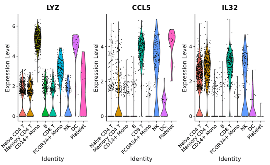 Seurat分析单细胞标准流程-CSDN博客