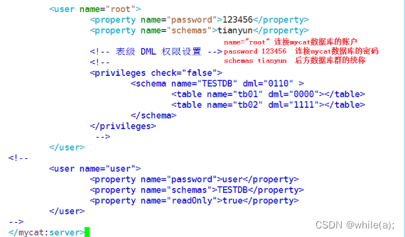 Mysql数据库代理 Mycatmysql 代理 Csdn博客 