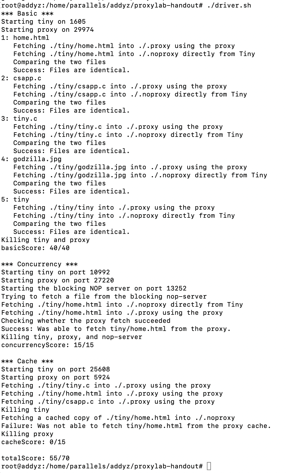 《深入理解计算机系统》实验八Proxy Lab_proxylab实验-CSDN博客
