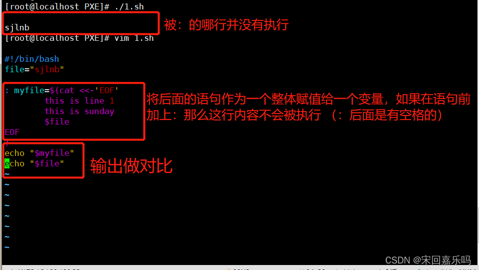 Shell之免交互 Csdn博客 