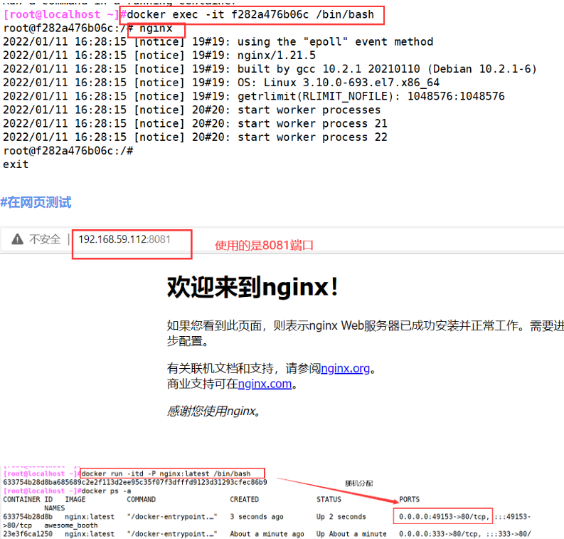 Docker 网络详解（host、container、none、Bridge网络模式）_docker host-CSDN博客