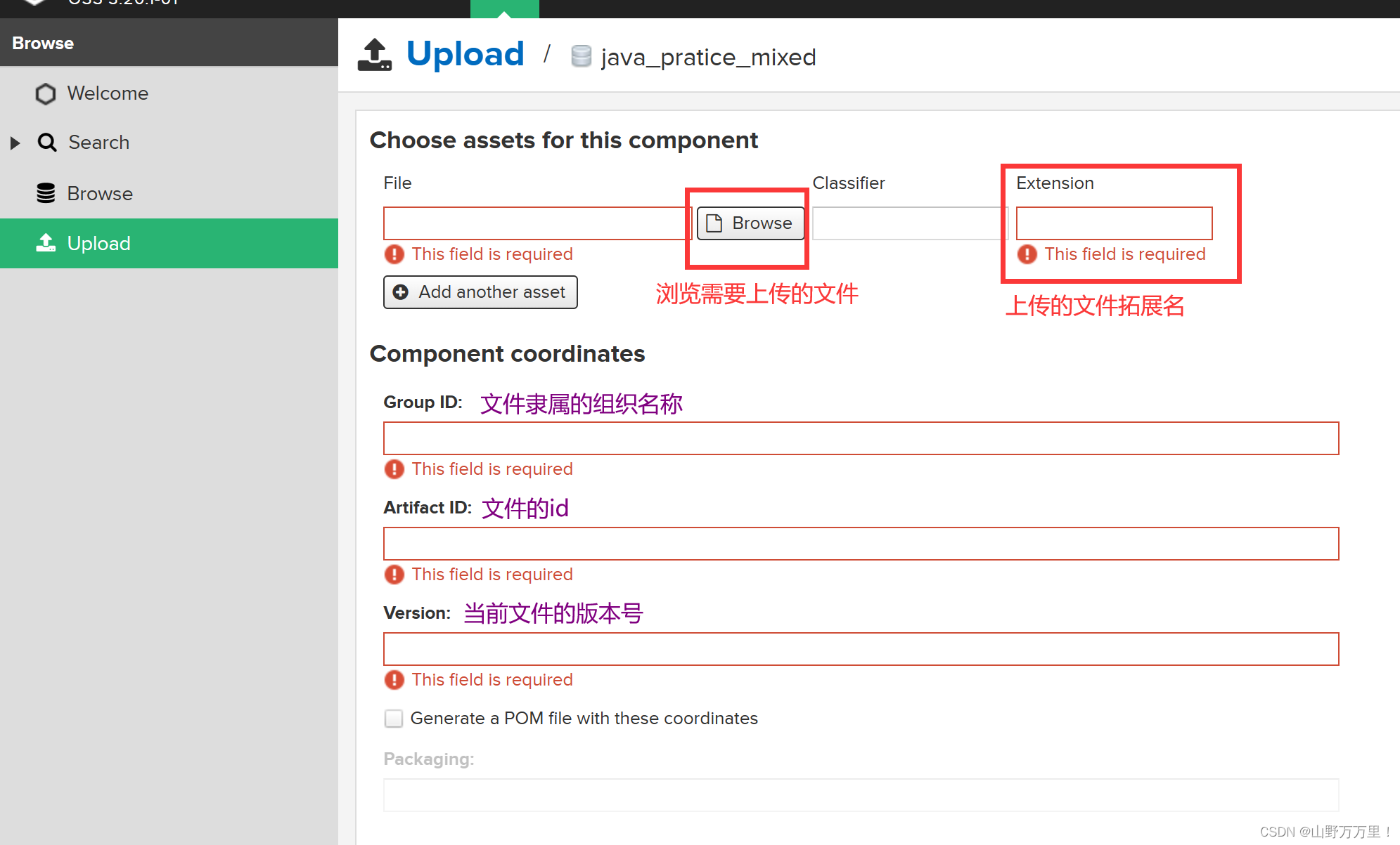 nexus私服的安装和登录_nexus登录-CSDN博客