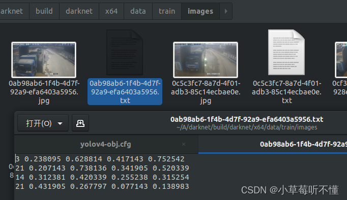 Darknet下训练测试评估yolov4(big)模型_yolov4模型下载-CSDN博客