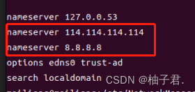 Ubuntu resolv.conf DNS自动清除问题处理_ubuntu nameserver-CSDN博客