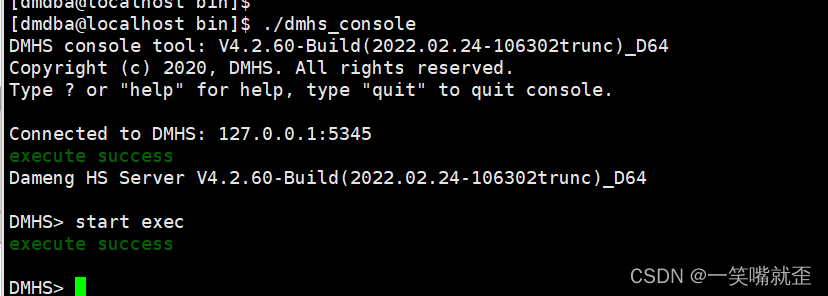 手把手教你达梦数据实时同步软件 (DMHS)的安装和使用（附实战详细记录：本地模拟实现达梦数据库双活、灾备）-CSDN博客