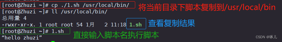 Shell脚本——编程规范与echo命令_shell echo-CSDN博客