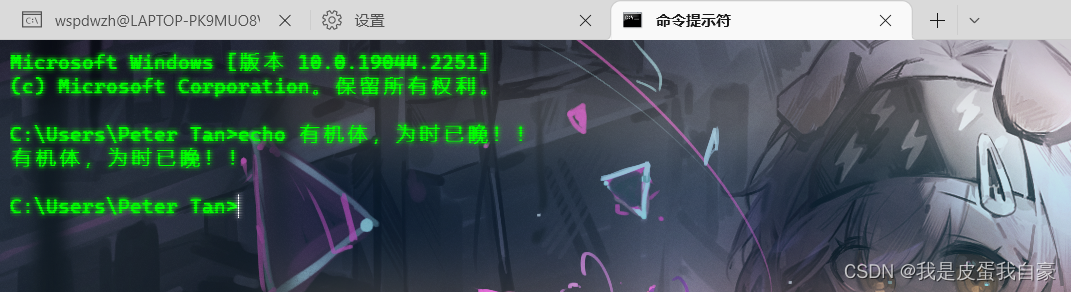 关于微软的的terminal（终端）配置_microsoft terminal-CSDN博客
