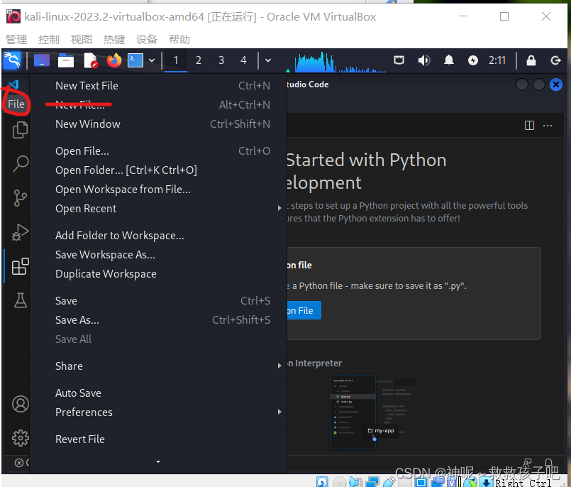 04 kali的配置以及Python的使用_kali python-CSDN博客