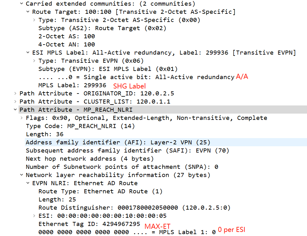 EVPN 路由之Type1 per ESI_ethernet segment identifier-CSDN博客