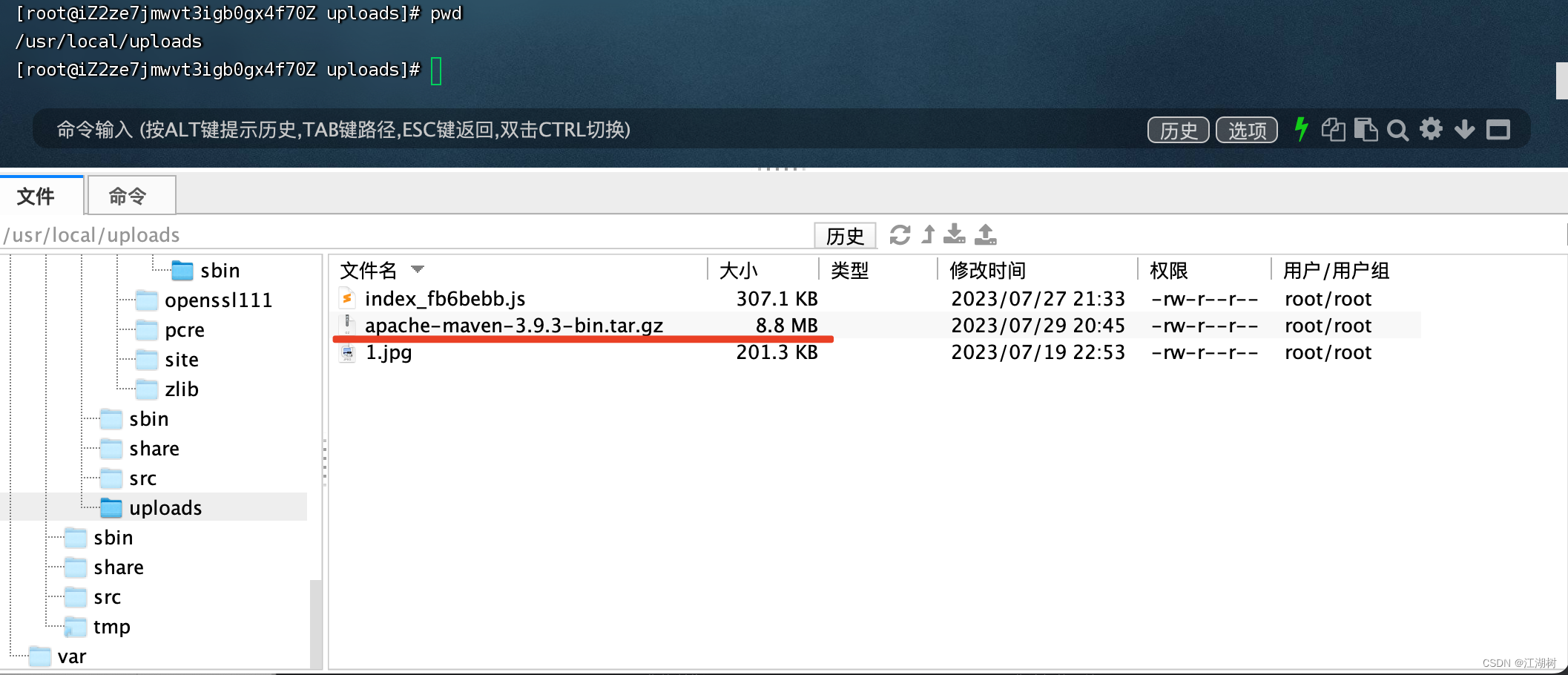 4.Nginx整合OpenResty+Lua （黑名单控制、内网访问限制、资源下载限速、日志分析、漏桶原理、令牌桶原理）_openrestry nginx-CSDN博客