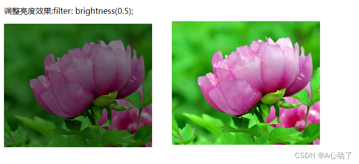 Css滤镜（filter详细介绍）css 图片滤镜 Csdn博客 