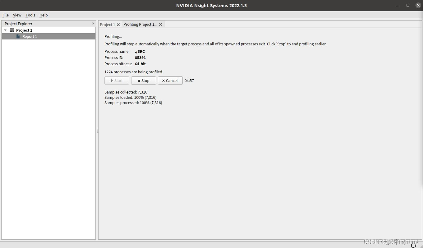 linux 下cuda fortran分析工具NVIDIA nsight systems安装和使用_nsight system安装-CSDN博客