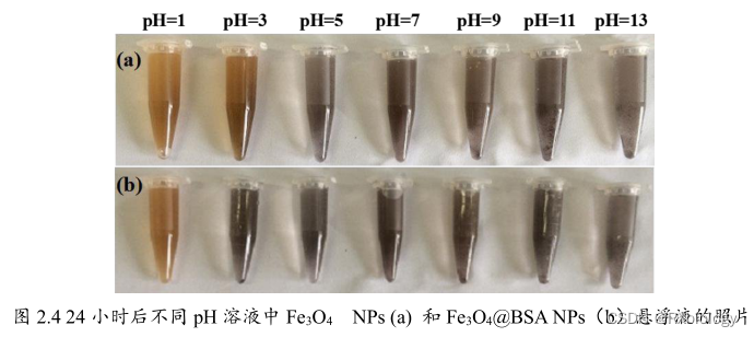 核壳BSA coating Fe3O4 nanoparticles（150nm），牛血清白蛋白修饰四氧化三铁150nm_fe3o4 np-CSDN博客
