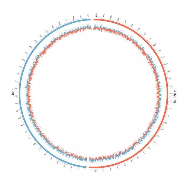 Circos入门教程_华大基因学院的博客-CSDN博客