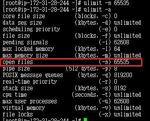 linux open file的修改和too many open file问题的解决-CSDN博客