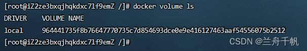 Docker 数据卷操作以及挂载nginx兰舟千帆的博客 Csdn博客docker Nginx 数据卷