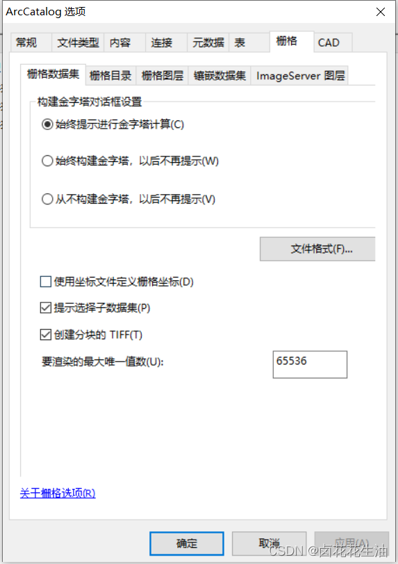ArcCatalog栅格数据显示_arcatalog设置colb-CSDN博客