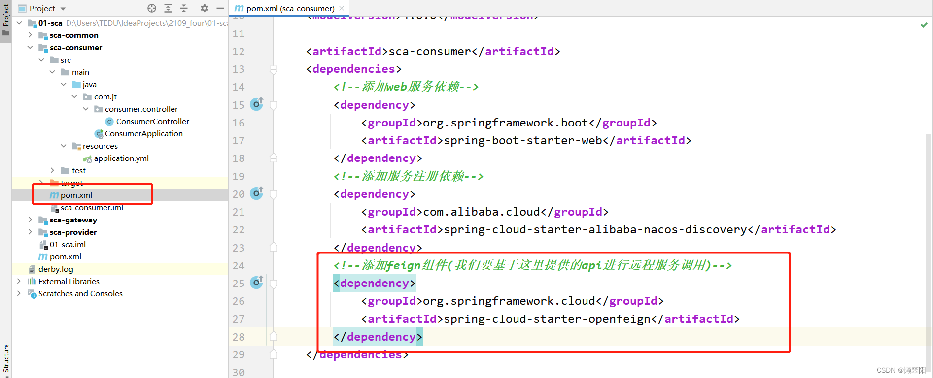 Nacos服务注册中心_nacos config_info_懂Java的懒阳阳的博客-CSDN博客