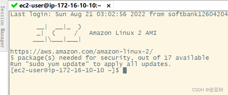 SecureCRT连接Amazon EC2 Linux AMI_亚马逊 pem文件登录linux-CSDN博客