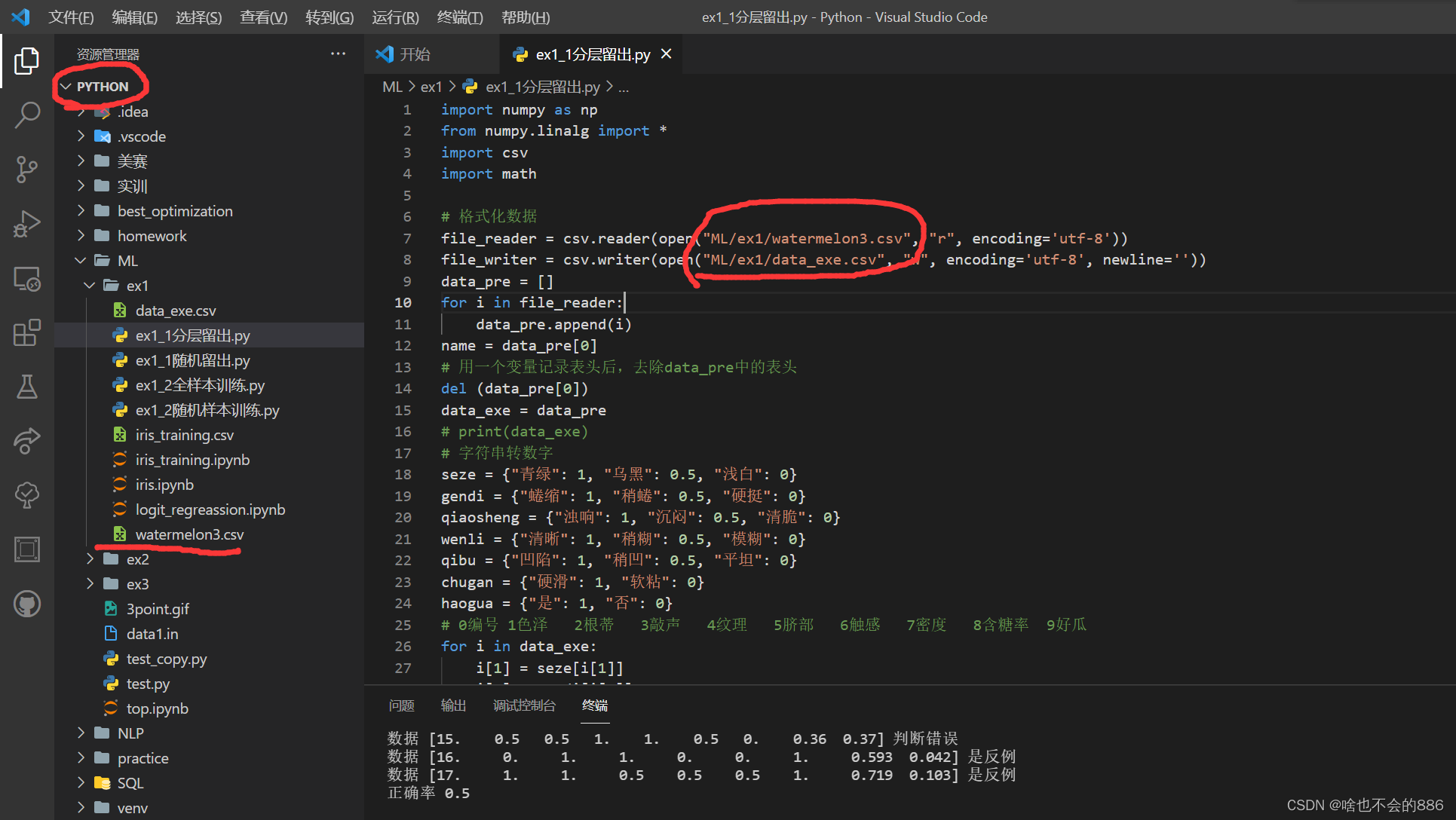 Vsocde读取文件相对路径问题launchjson Cwd Csdn博客