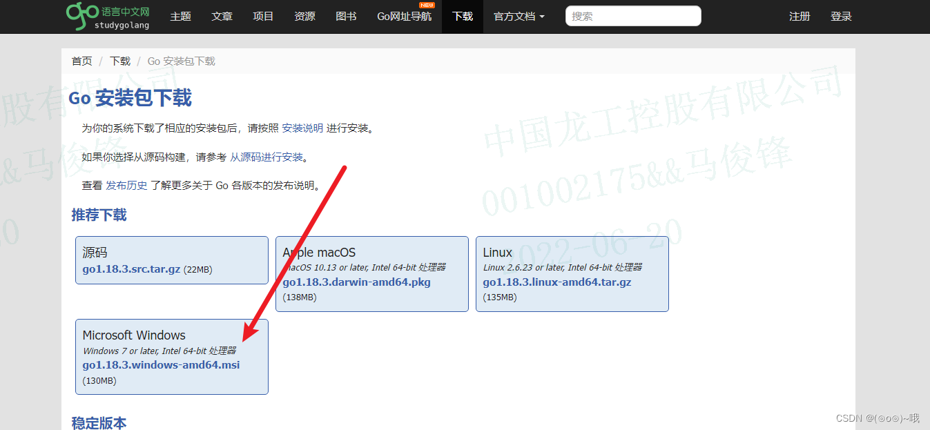 flutter使用go打包生成exe文件时，执行hover init ‘hover‘时报错： 不是内部或外部命令,也不是可运行的程序 或批处理文件。安装go，安装 hover 。2022 ...