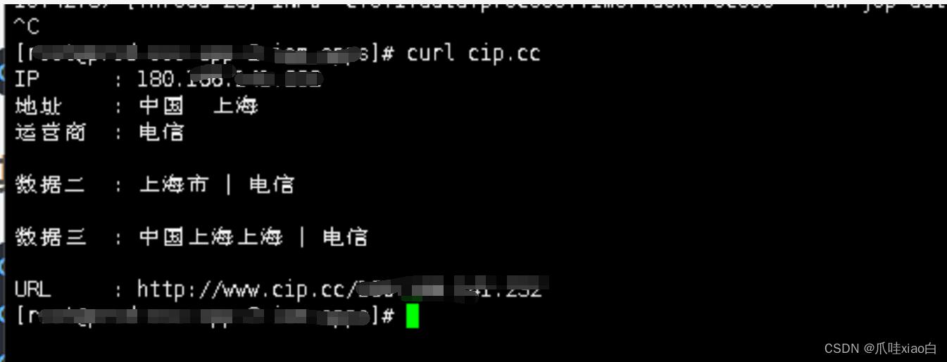 【linux查看出口IP(curl cip.cc)】-CSDN博客