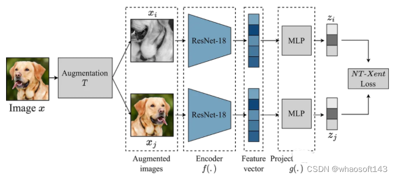 Pytorch~SimCLR_simclr源码-CSDN博客