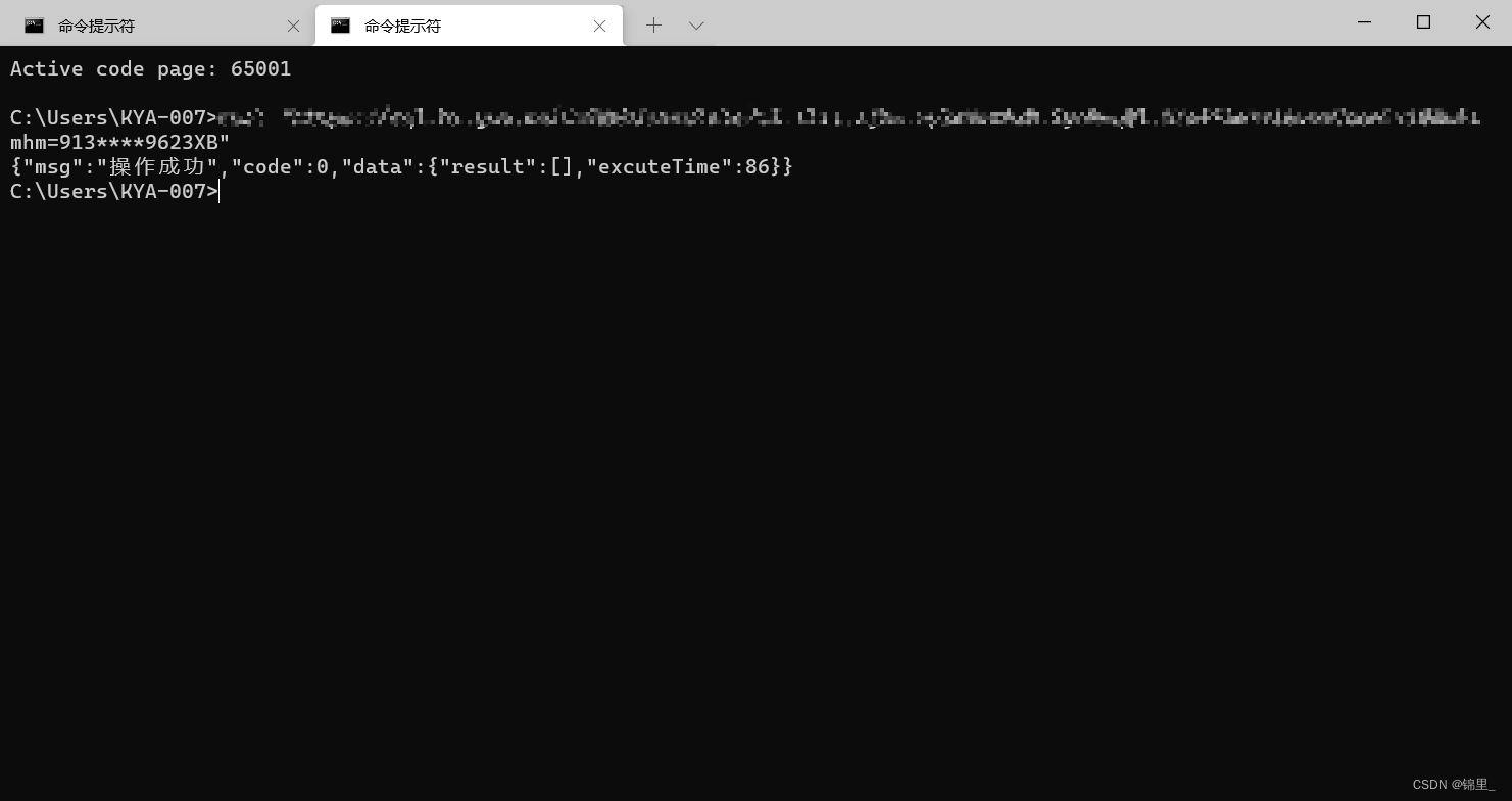 windows cmd curl中文显示乱码-CSDN博客