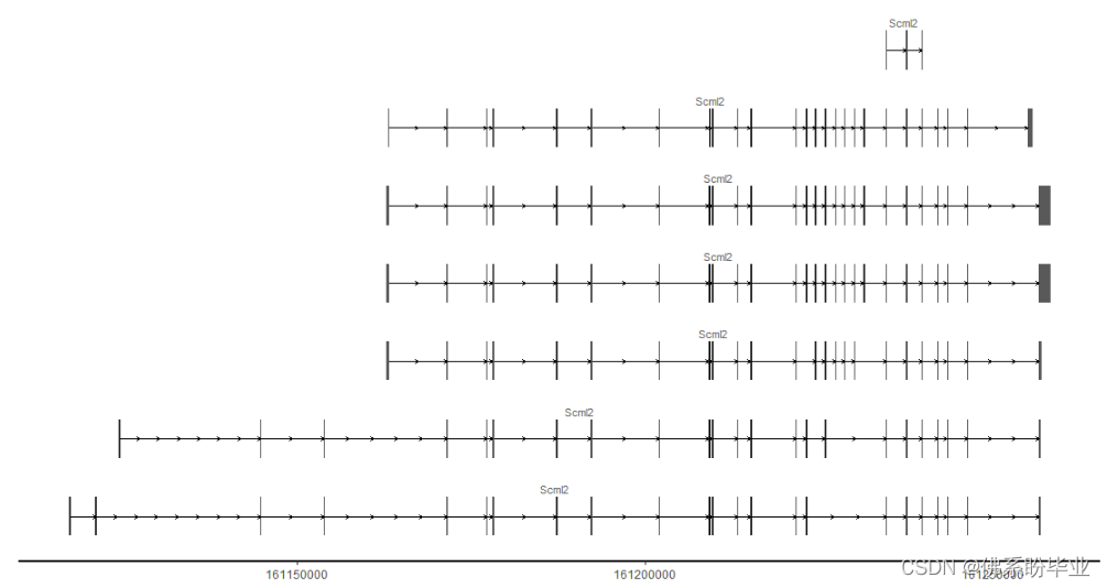 使用R包ggbio画单个基因的 autoplot转录本信息图-CSDN博客